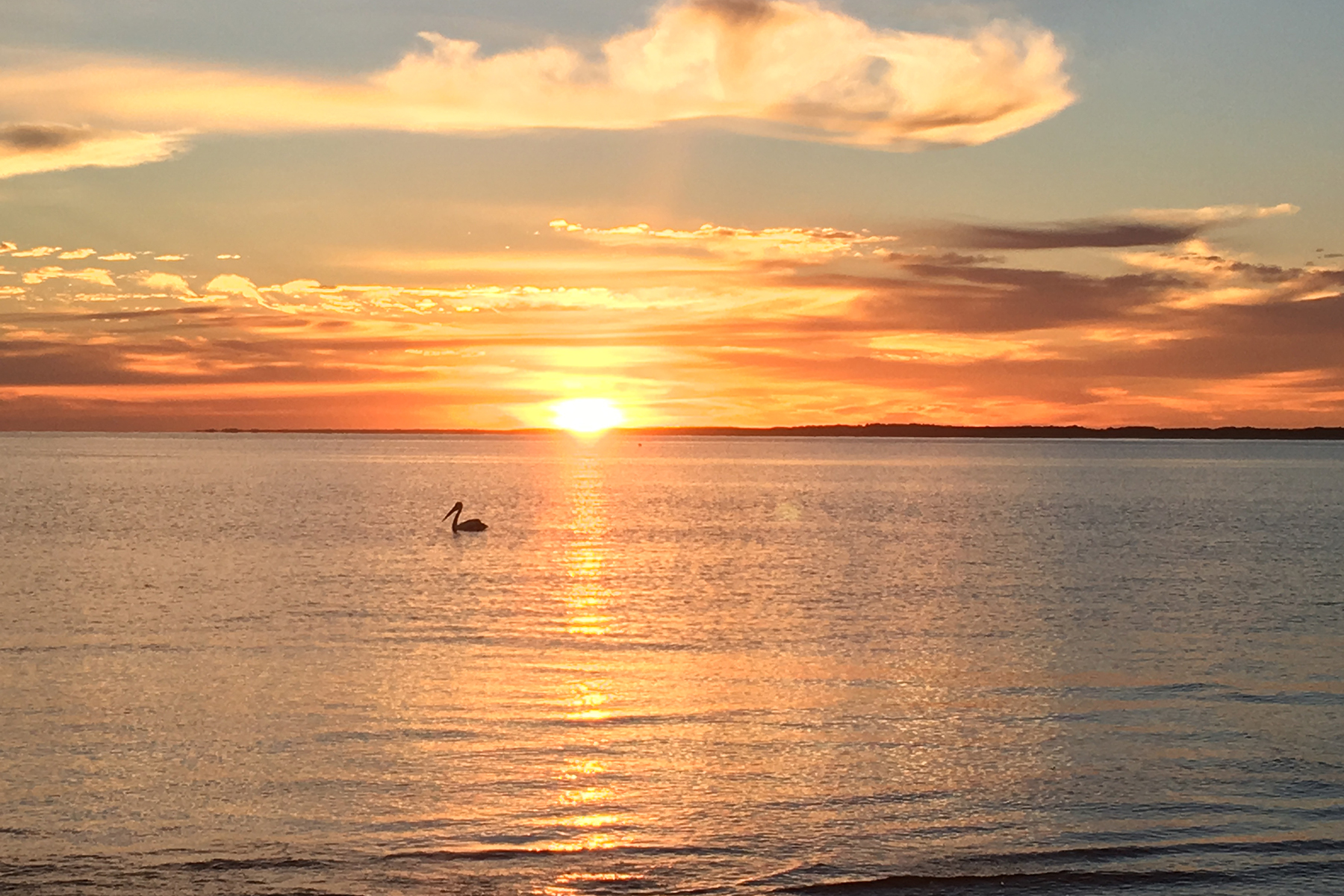 Things to See and Do in Onslow Western Australia